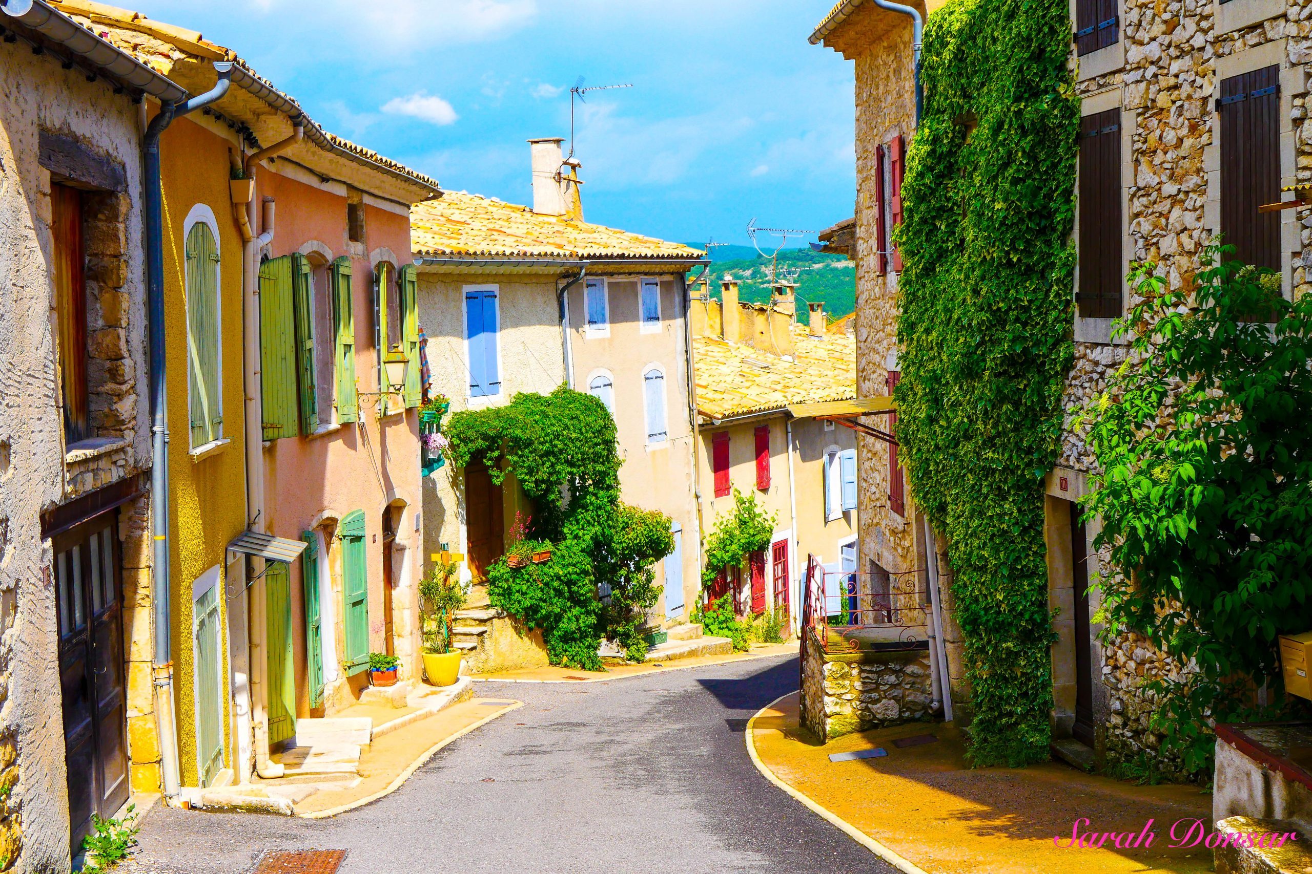 Lasse – Sarah Donsar